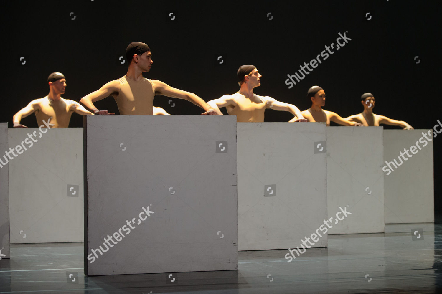 Cacti Dancers Alexander Cyr Bezuijen Alice Editorial Stock Photo ...