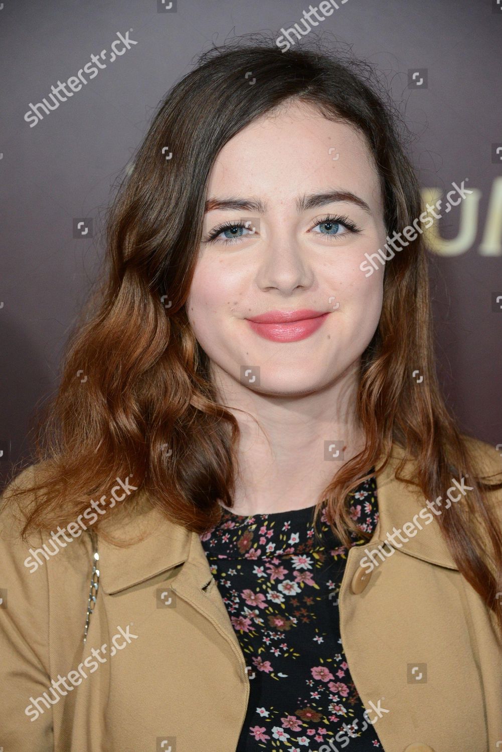 Lou Gala Editorial Stock Photo - Stock Image | Shutterstock