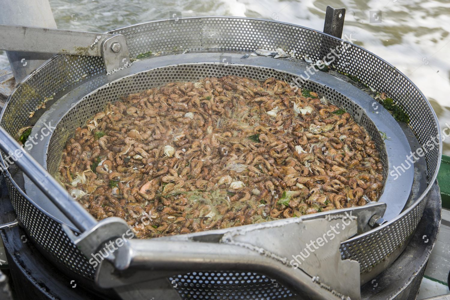 Processing Crabs On Shrimp Trawler North Editorial Stock Photo - Stock ...