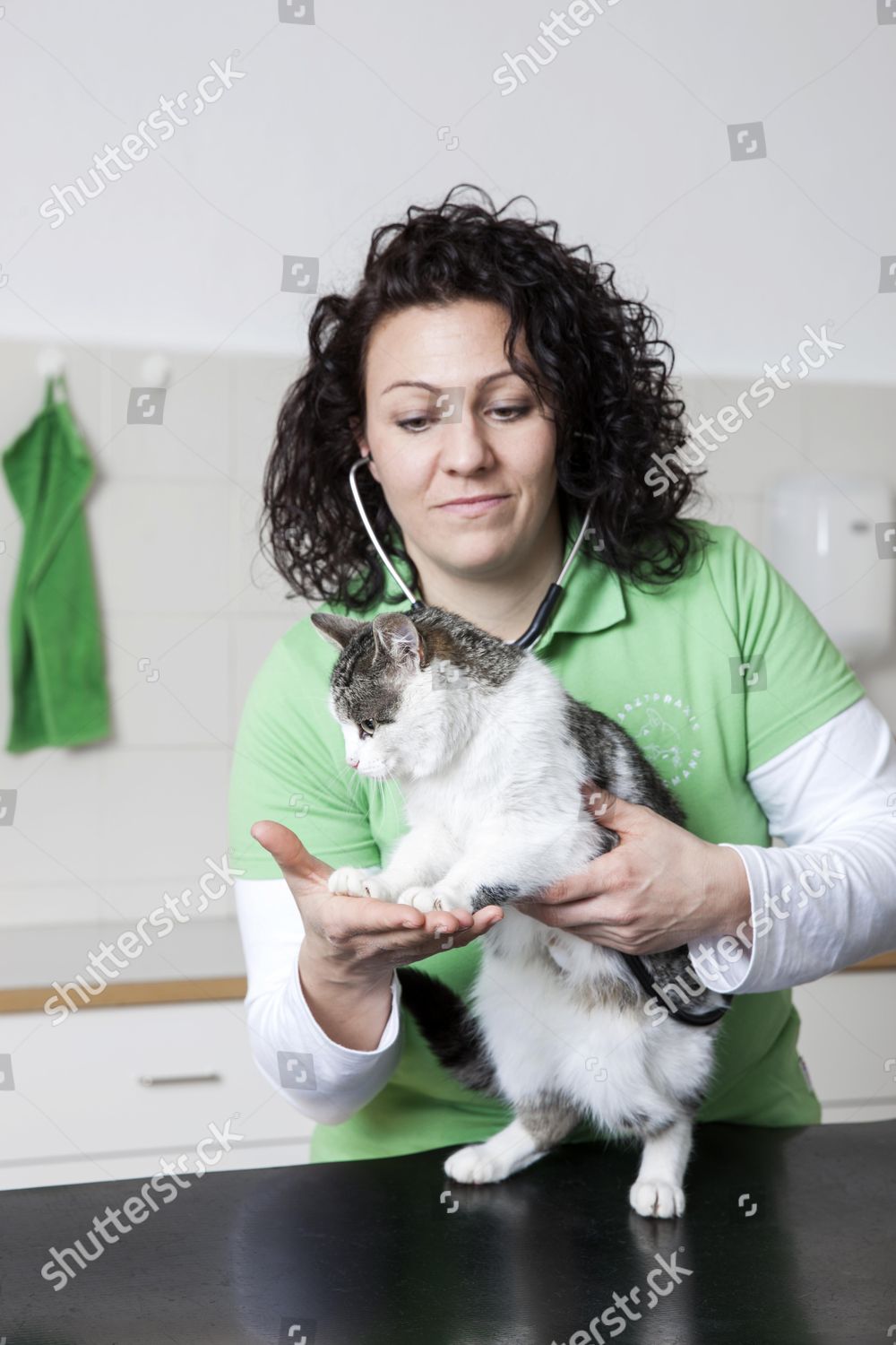 Model Released Veterinarian Female Vet Examining Editorial Stock Photo ...