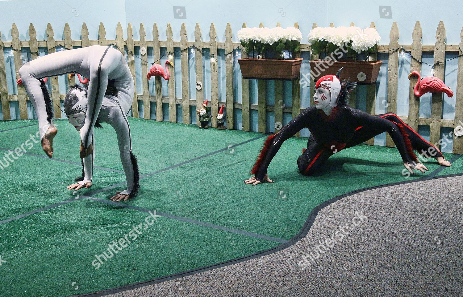 Performance By Cirque Du Soleils Spider Editorial Stock Photo - Stock ...