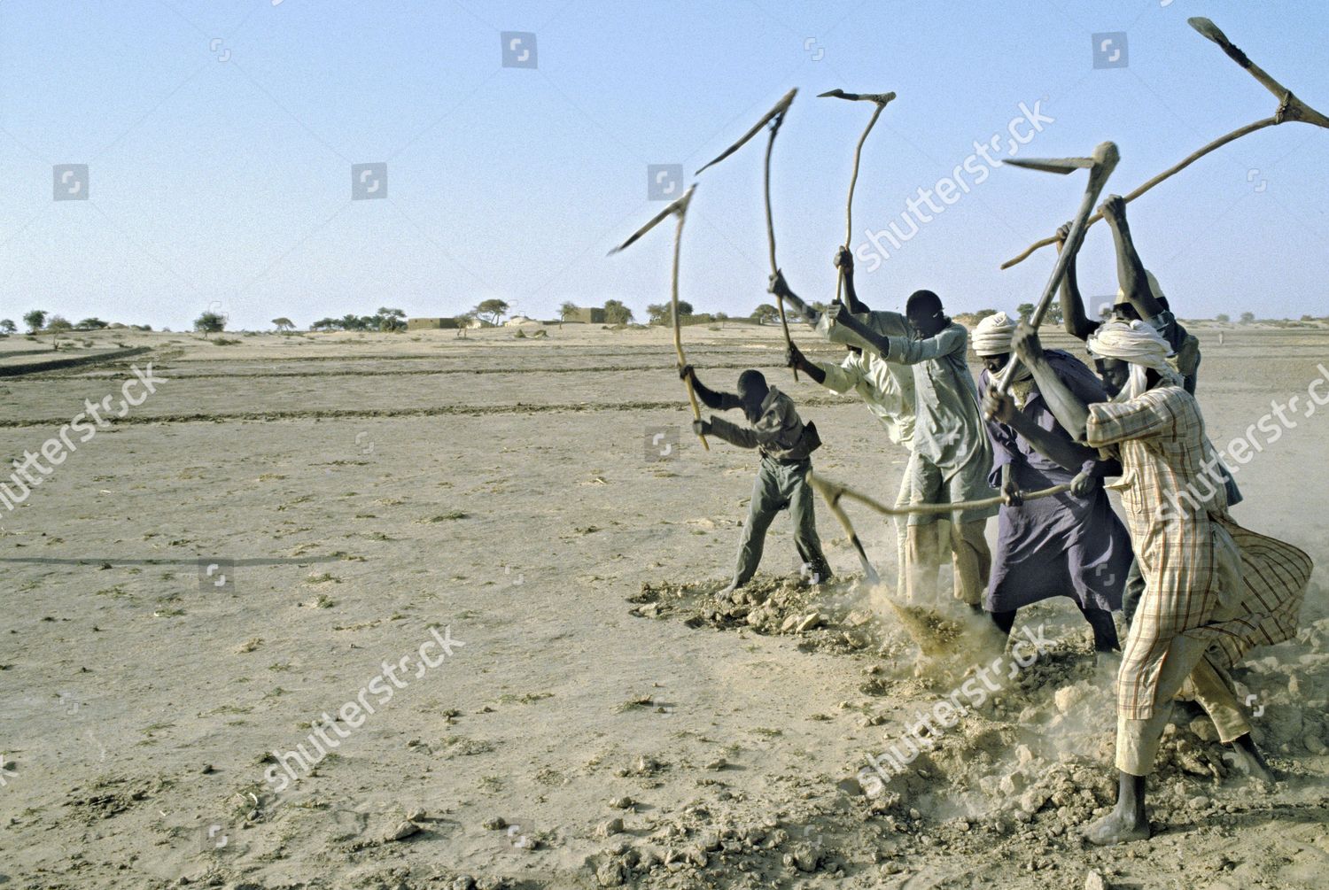 Natives Digging Land Editorial Stock Photo - Stock Image | Shutterstock