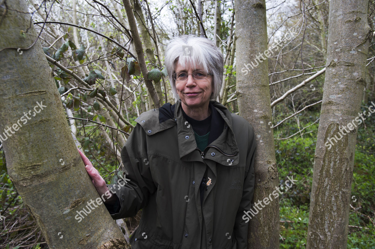Professor Anne Edwards Ash Dieback Resistant Editorial Stock Photo ...