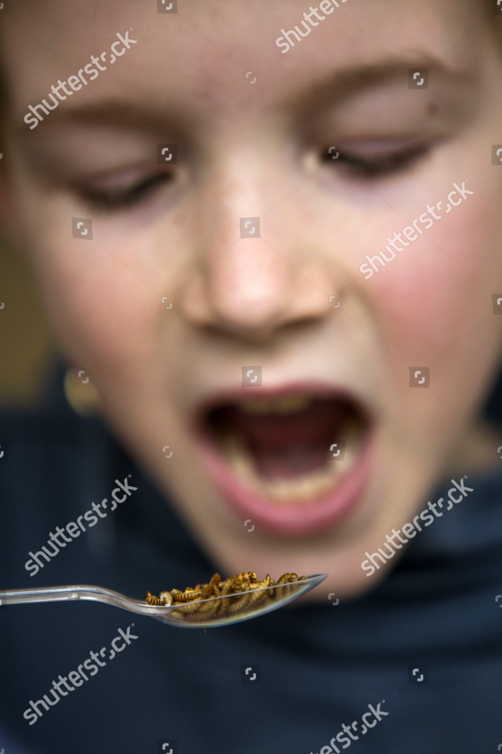 Young Boy Edible Insects Editorial Stock Photo - Stock Image | Shutterstock