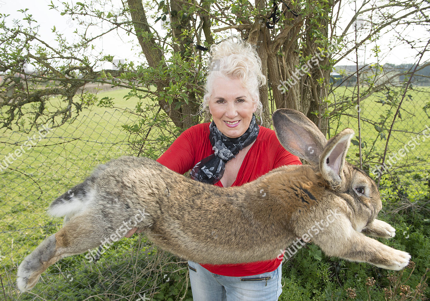 Annette Edwards Stoulton Worcestershire Who Has Editorial Stock Photo ...