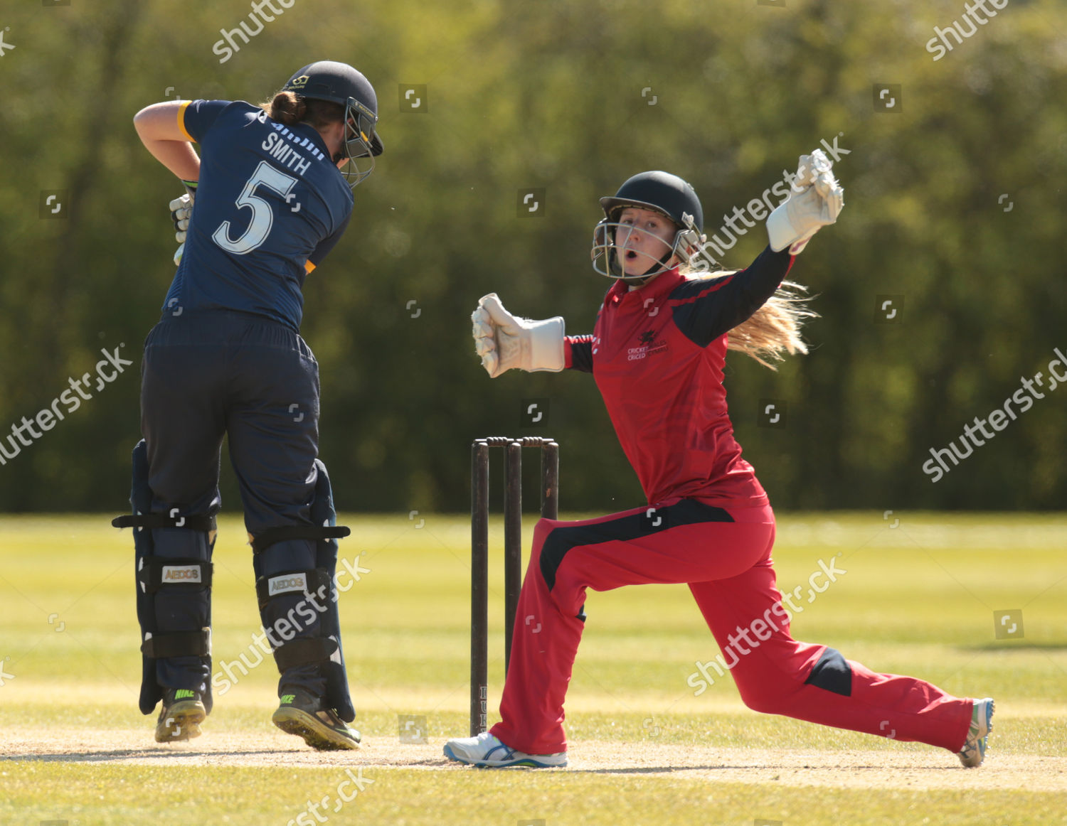Cricket Wales Womens Georgia Parfitt During Editorial Stock Photo ...
