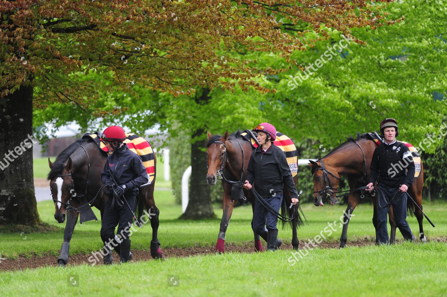 Ballydoyle Stables Air Force Blue Centre Editorial Stock Photo - Stock ...
