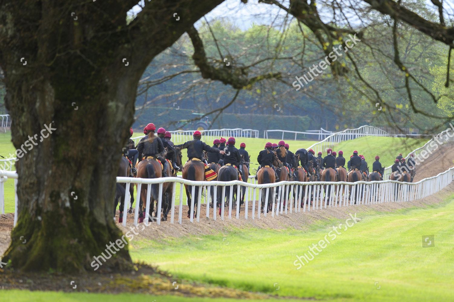Ballydoyle Stables Trainer Aidan Obrien Horses Editorial Stock Photo ...