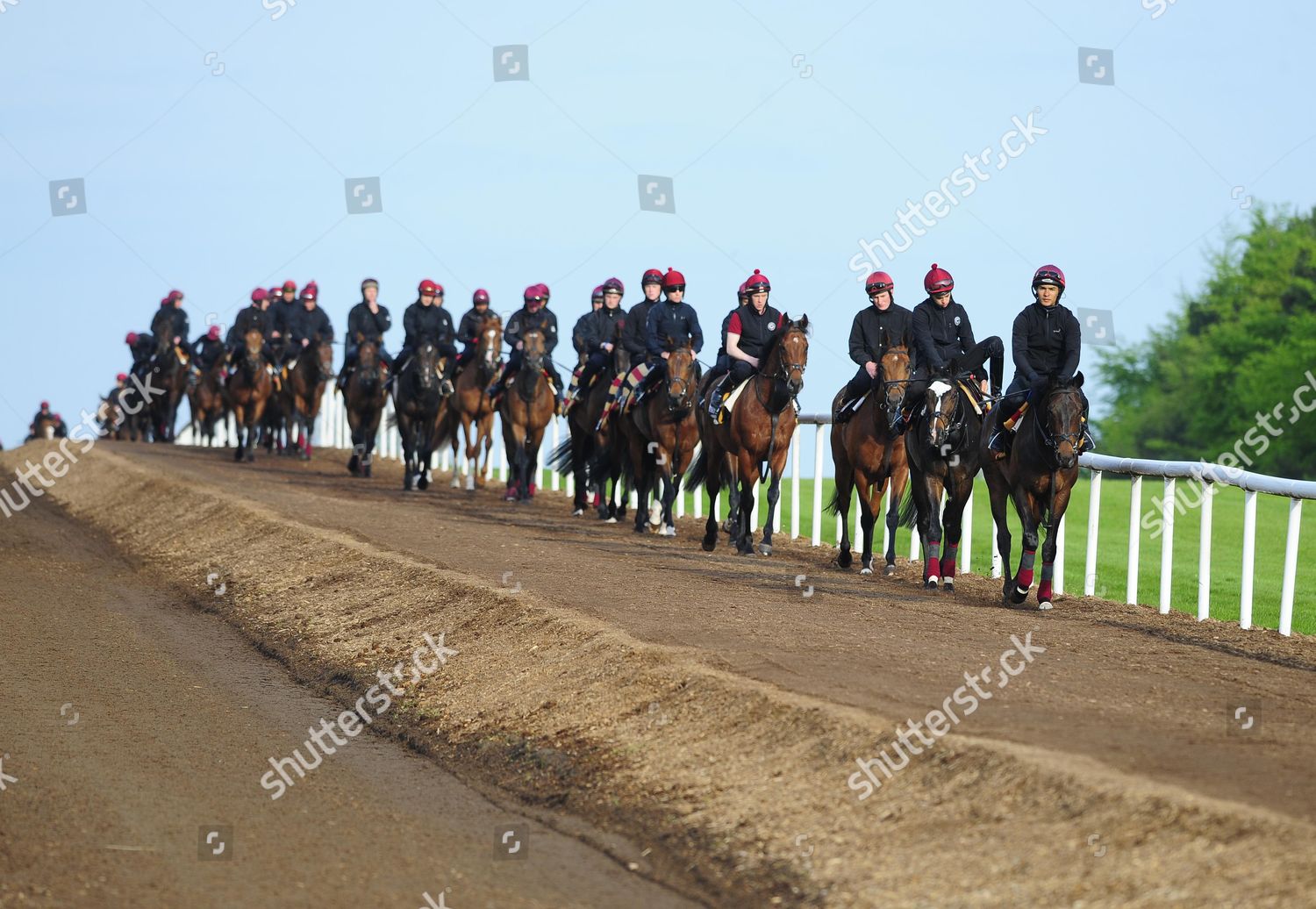 Ballydoyle Stables Trainer Aidan Obrien Horses Editorial Stock Photo ...