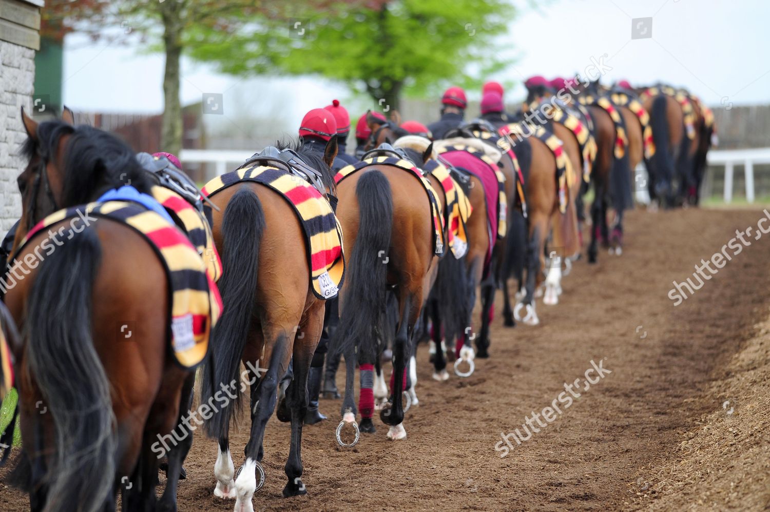 Ballydoyle Stables Trainer Aidan Obrien Horses Editorial Stock Photo ...