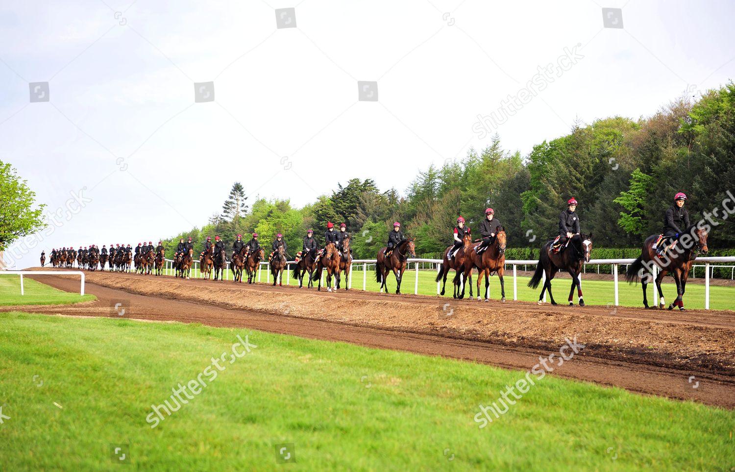 Ballydoyle Stables Trainer Aidan Obrien Horses Editorial Stock Photo ...