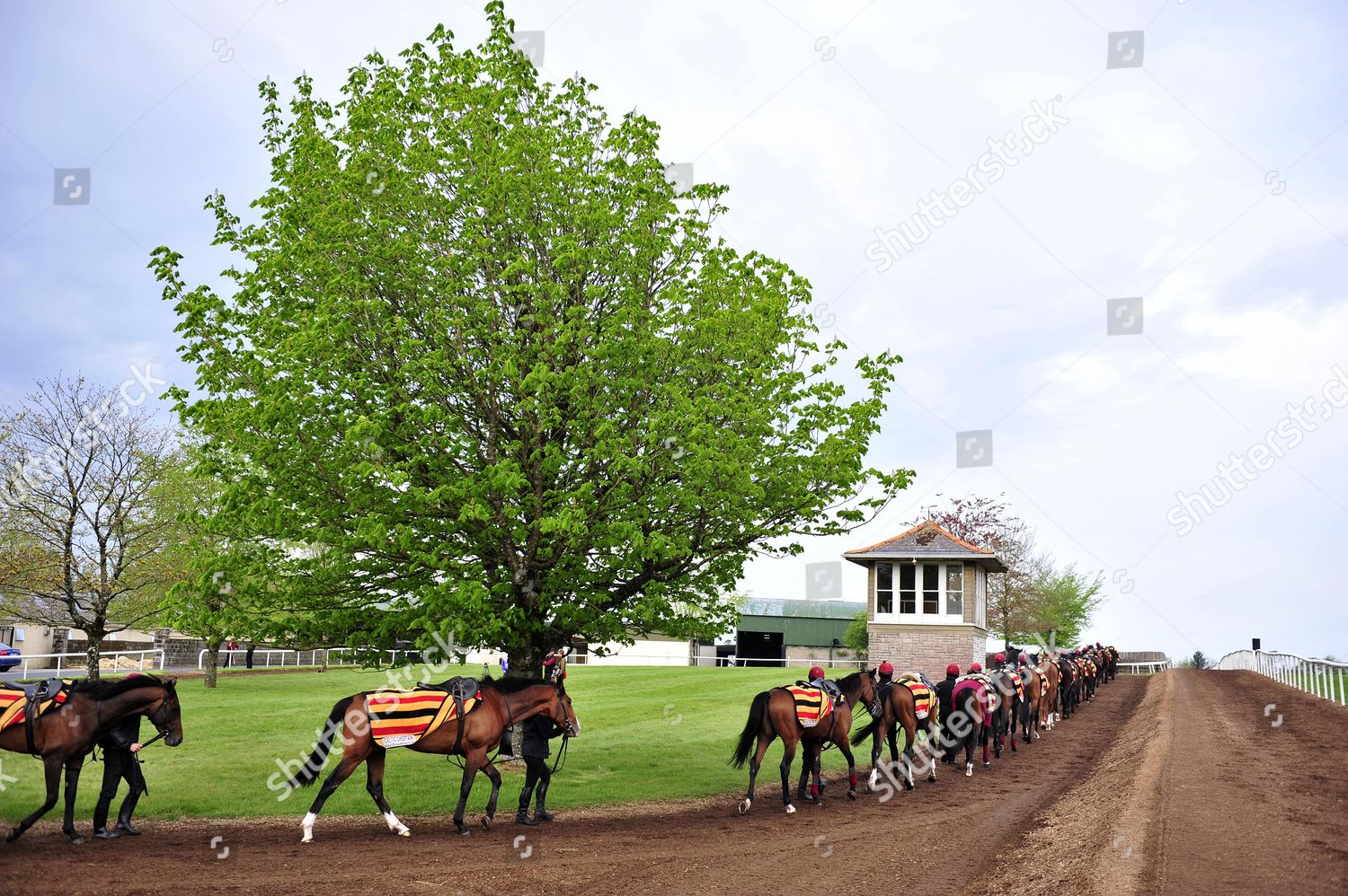 Ballydoyle Stables Trainer Aidan Obrien Horses Editorial Stock Photo ...