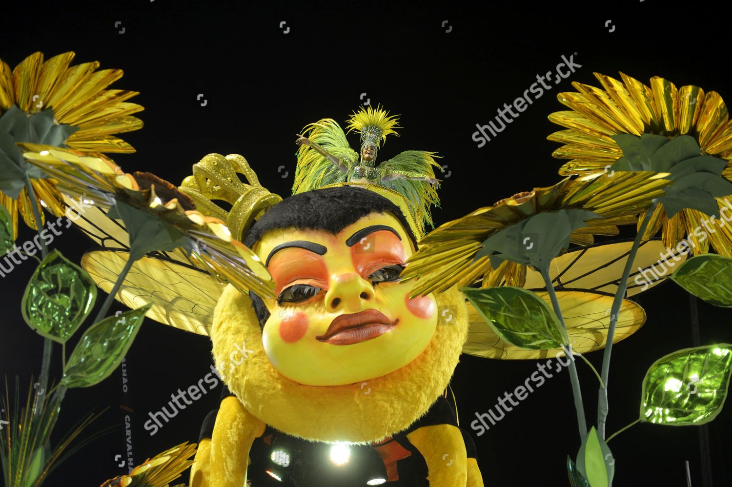 Allegories Float Bee Parade Samba School Editorial Stock Photo - Stock ...