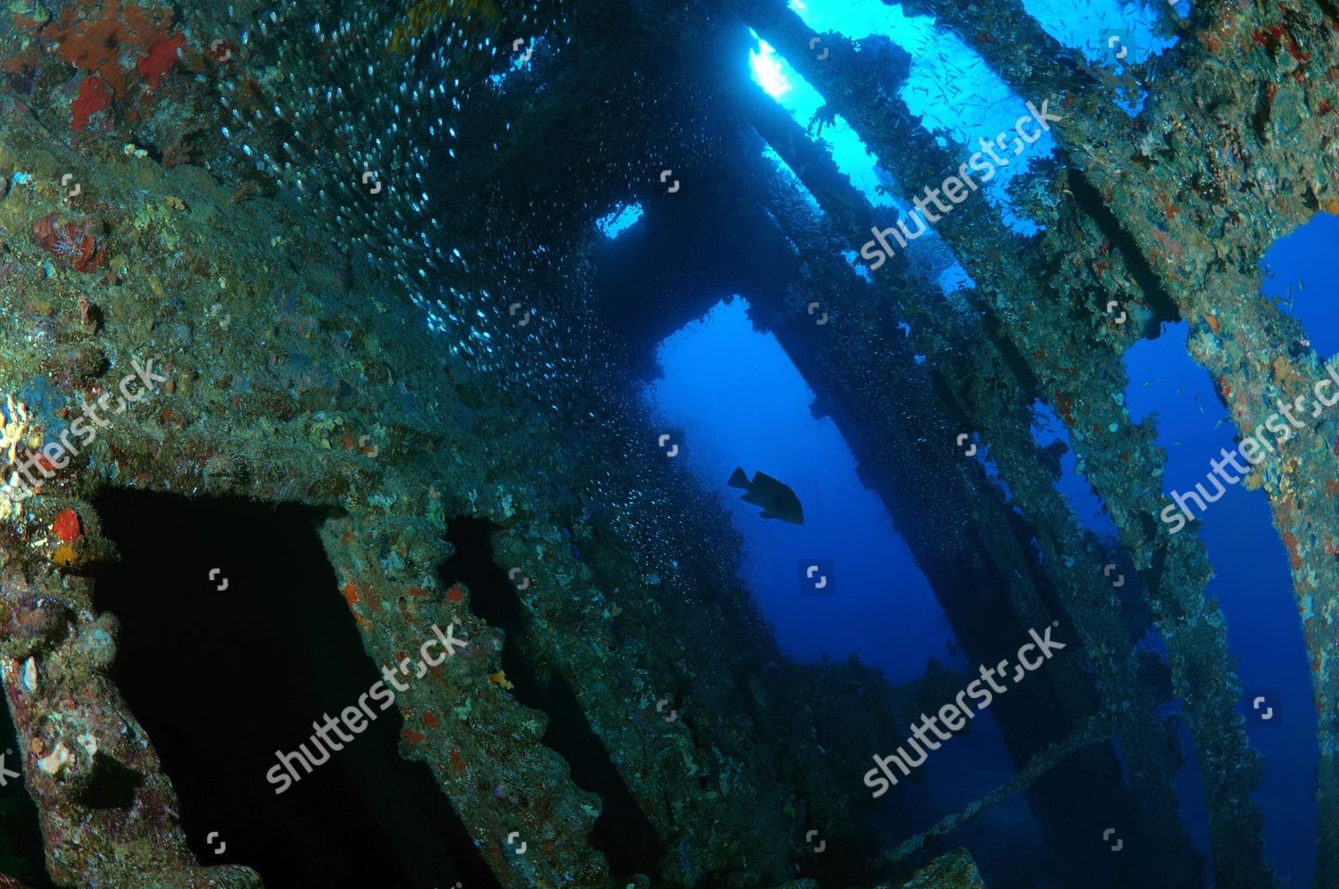 Shipwreck Ss Carnatic Red Sea Sharm Editorial Stock Photo - Stock Image ...