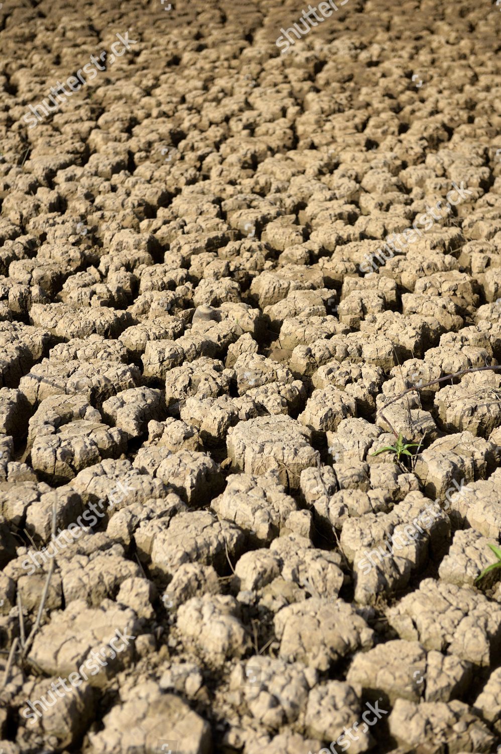 Dry Ground On Shore Drought Silting Editorial Stock Photo - Stock Image ...