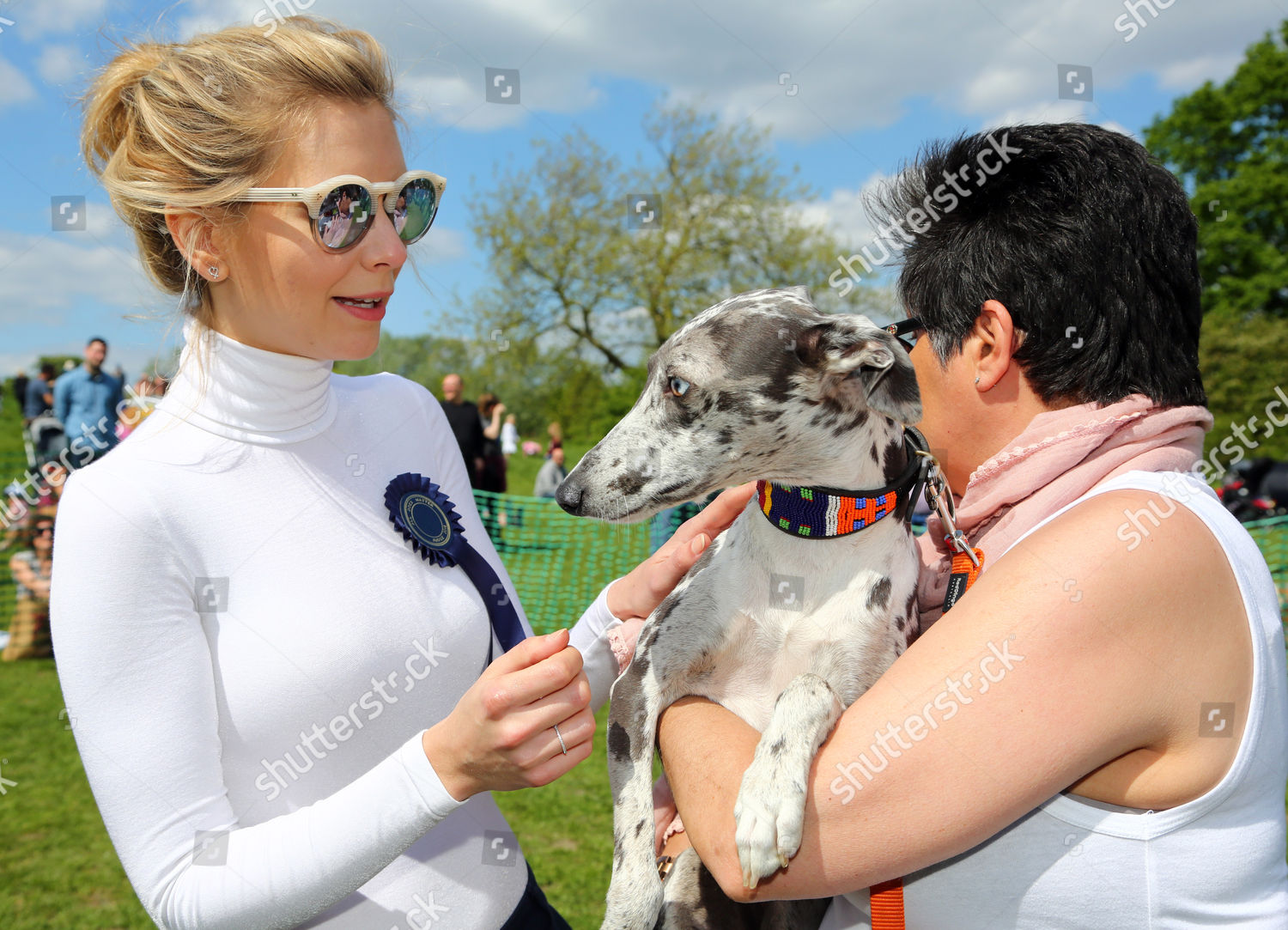 Rachel Riley Editorial Stock Photo - Stock Image | Shutterstock
