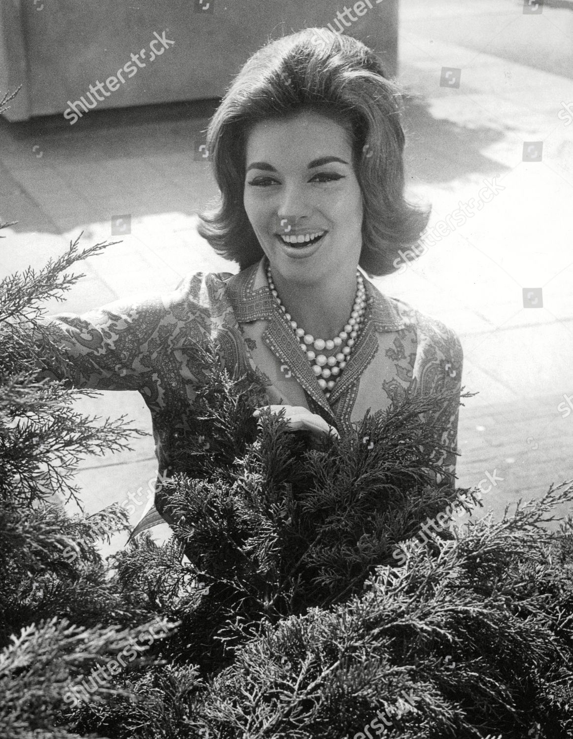 Nancy Kovack American Film Actress Box Editorial Stock Photo - Stock ...