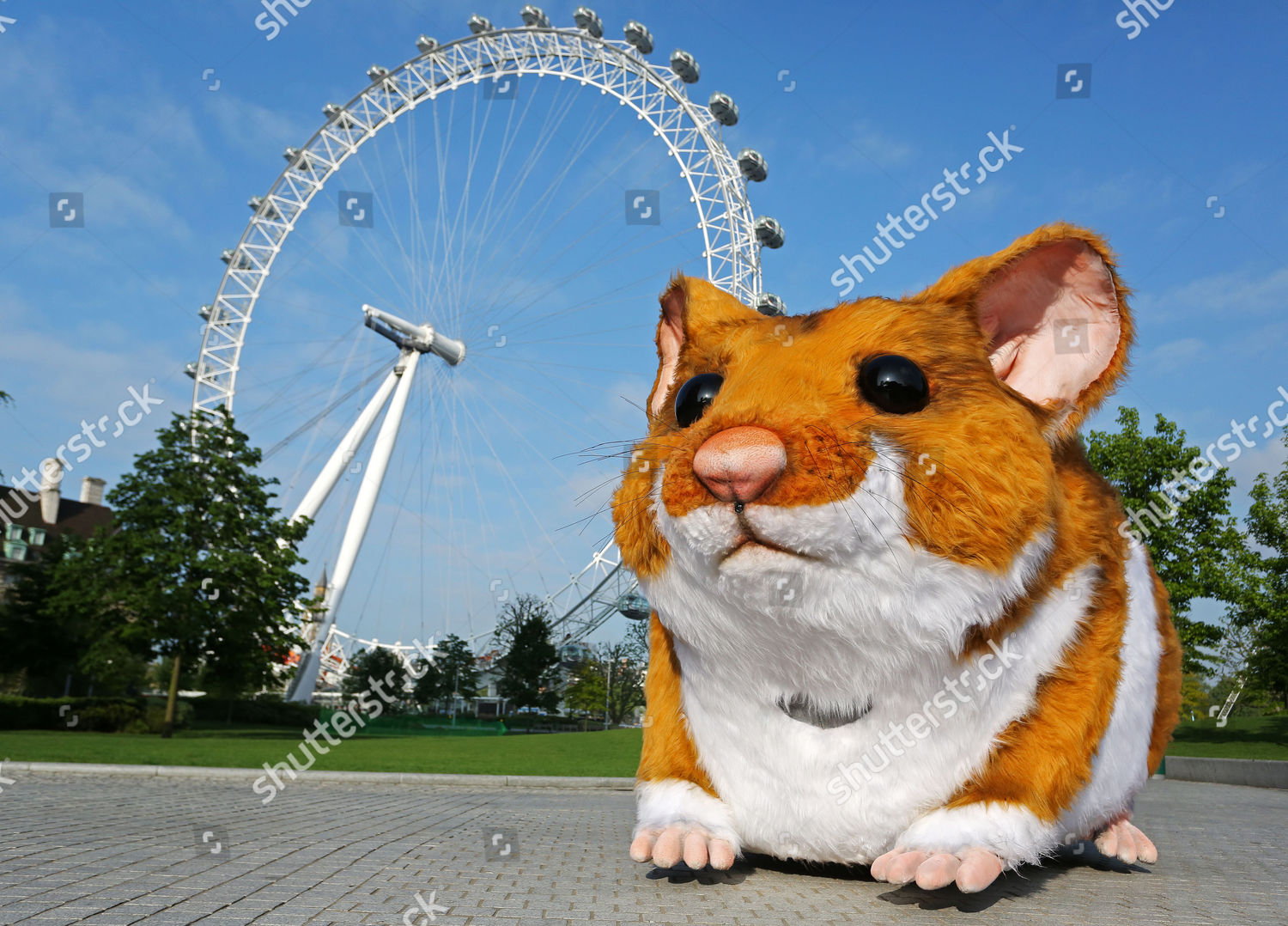 12ft Pedalpowered Mechanical Model Hamster Unveiled Editorial Stock ...