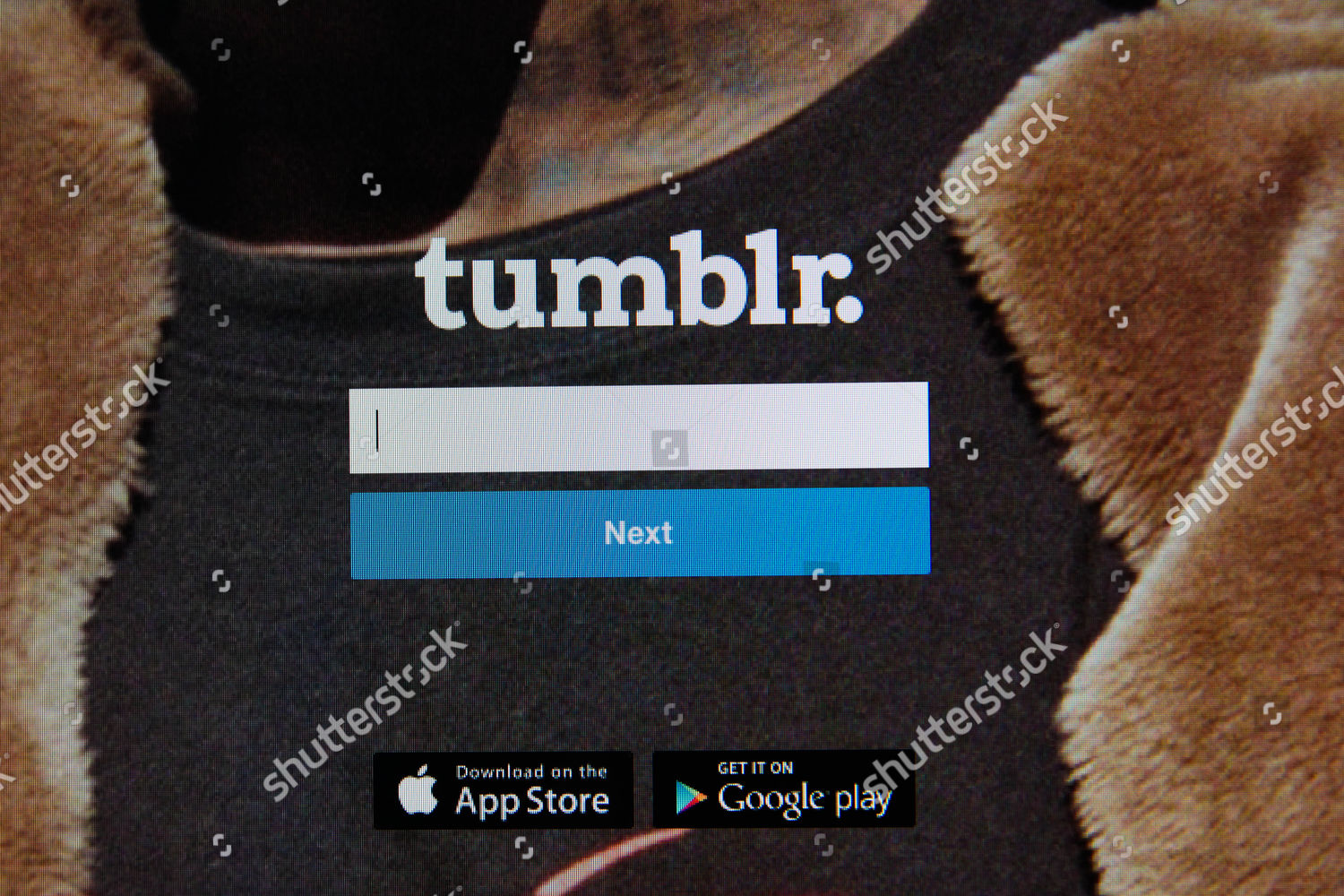 Tumblr Login Page Hundreds Millions Hacked Editorial Stock Photo ...