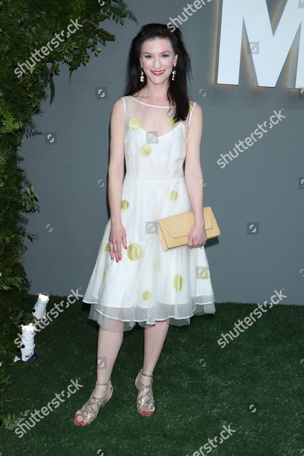 Janis Gardner Cecil Editorial Stock Photo - Stock Image | Shutterstock