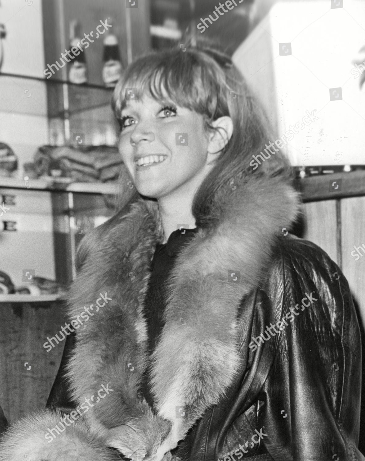 Linda Marlowe Actress Wife William Marlowe Editorial Stock Photo ...