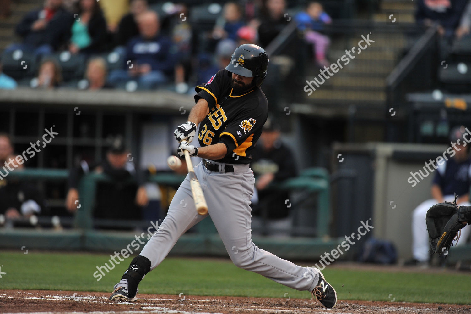 Salt Lake Bees Catcher Anthony Bemboom Editorial Stock Photo - Stock ...
