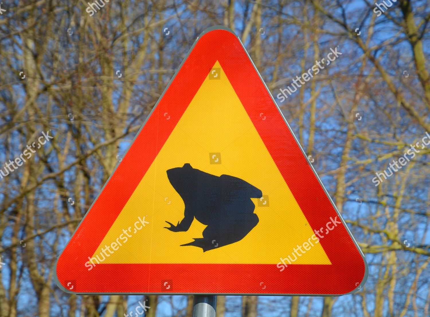 Sign Frog Protection Ystad Sand Forest Editorial Stock Photo - Stock ...