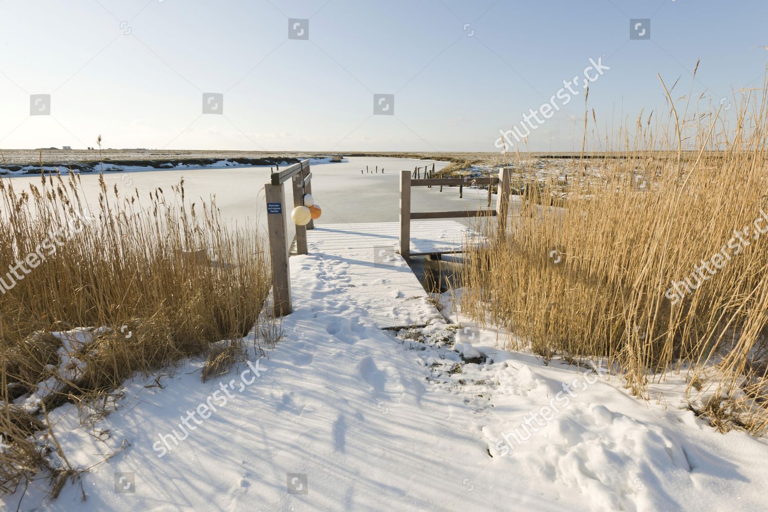 Mayenswarf On Hallig Langeness Holm Winter Editorial Stock Photo ...