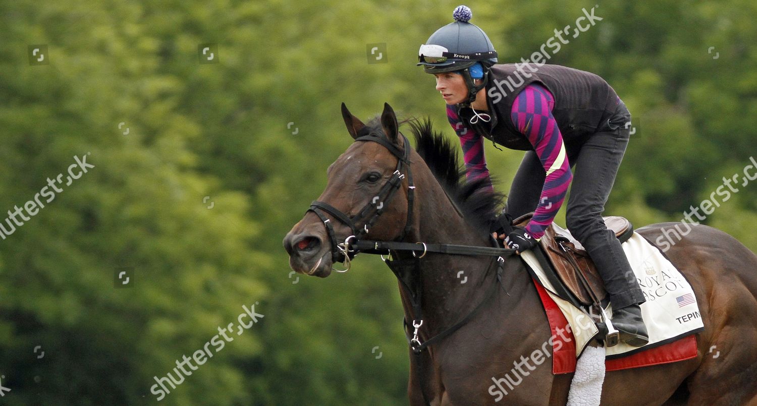 Tepin E J Bowler American Challenger Editorial Stock Photo - Stock ...