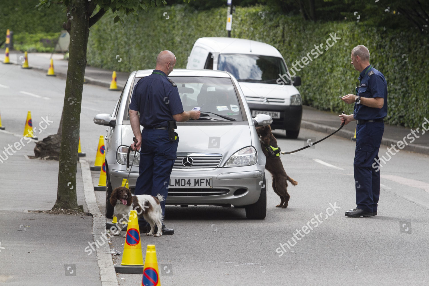 Police Sniffer Dogs Conduct Patrols Outside Editorial Stock Photo ...