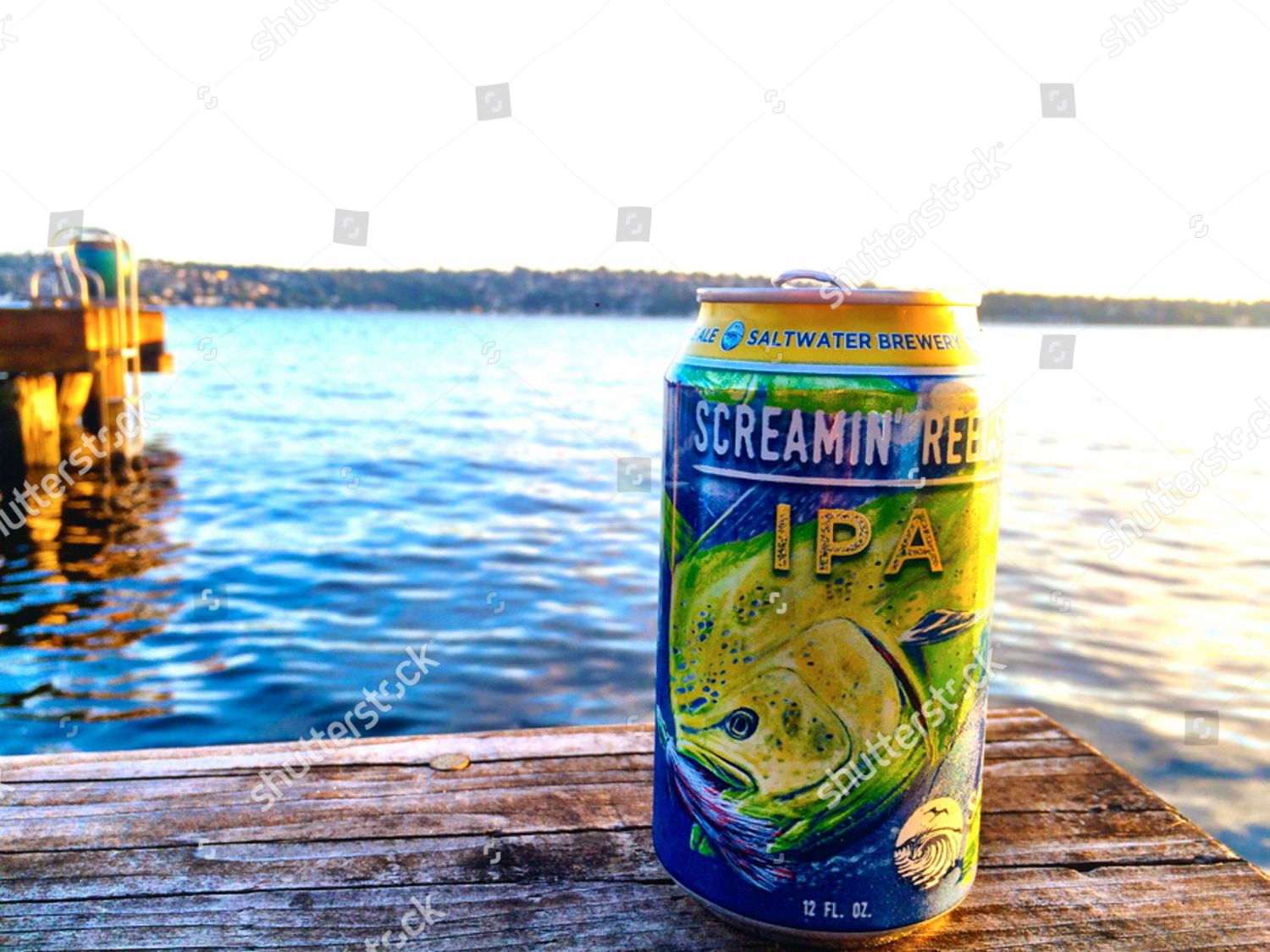 Saltwater Brewery Fish Edible Drink Can Editorial Stock Photo - Stock ...