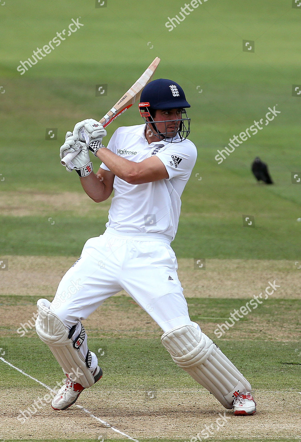 Alister Cook Captain England Brings His Editorial Stock Photo - Stock ...