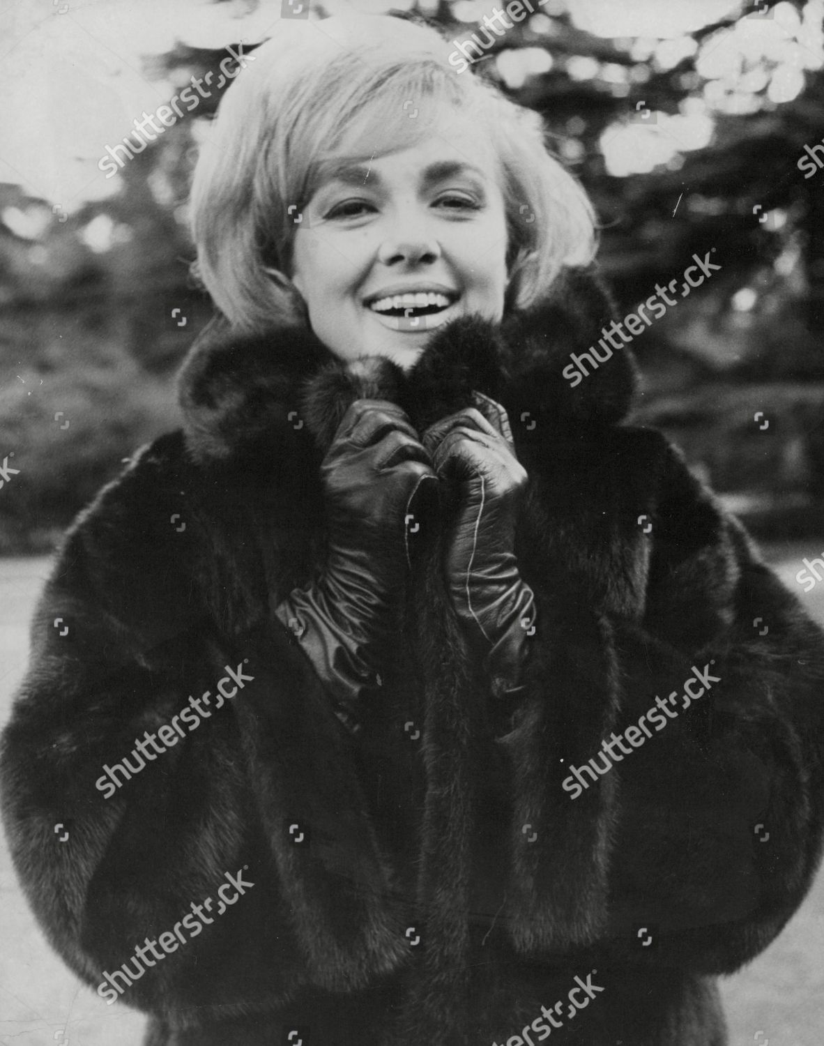 Edie Adams Singer Who Appearing Royal Editorial Stock Photo - Stock ...