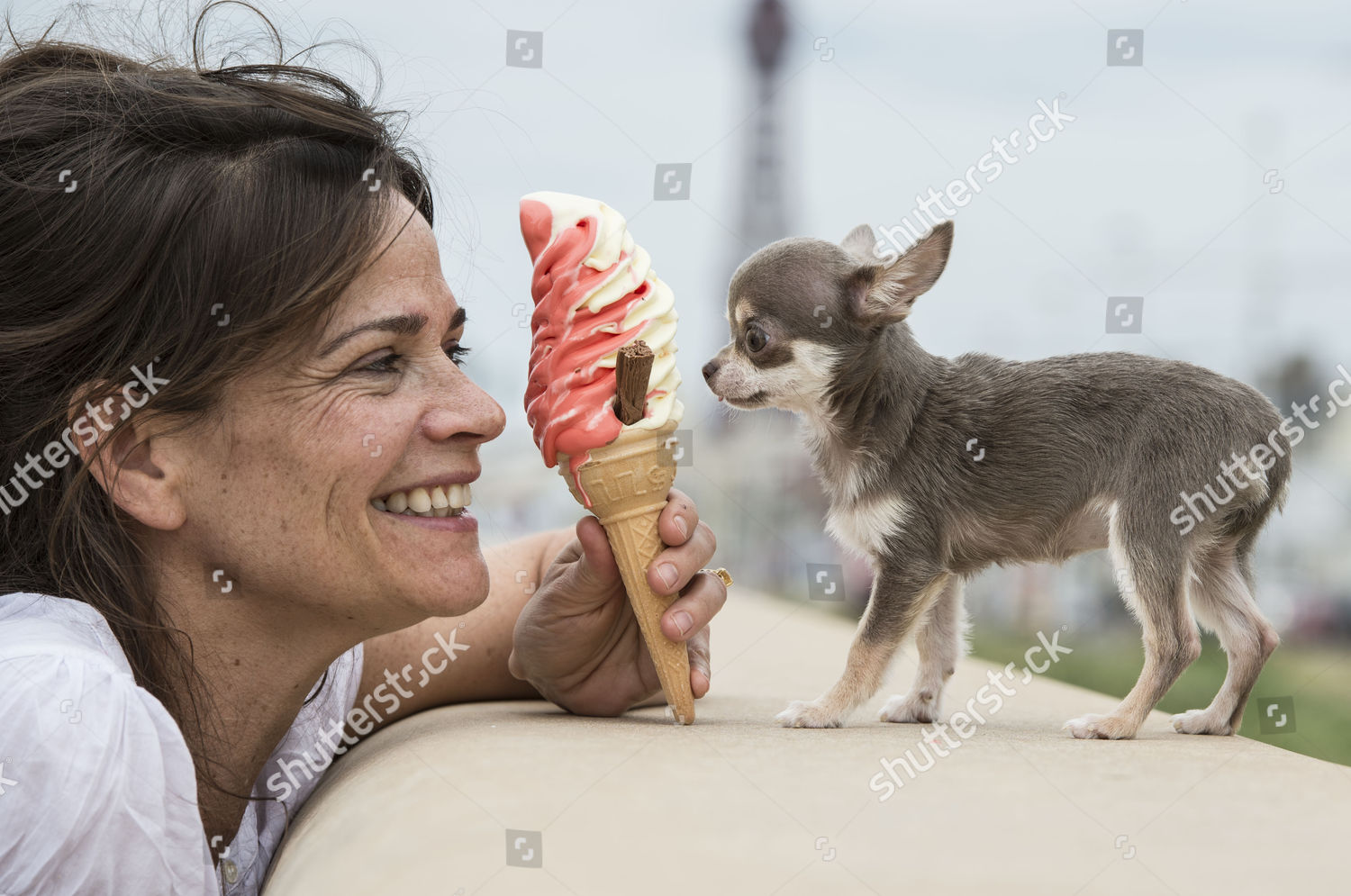 Jayne Fryer Meets Bibity Bobity Boo Editorial Stock Photo - Stock Image ...
