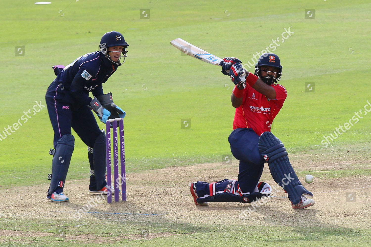 Ashar Zaidi Essex Hots Out John Editorial Stock Photo - Stock Image ...