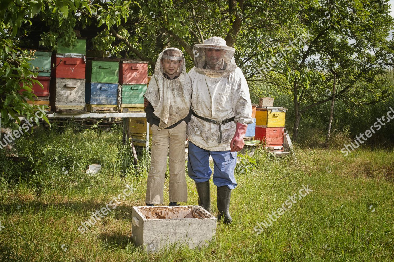 Model Released Beekeeper Apprentice Beekeeper Editorial Stock Photo ...