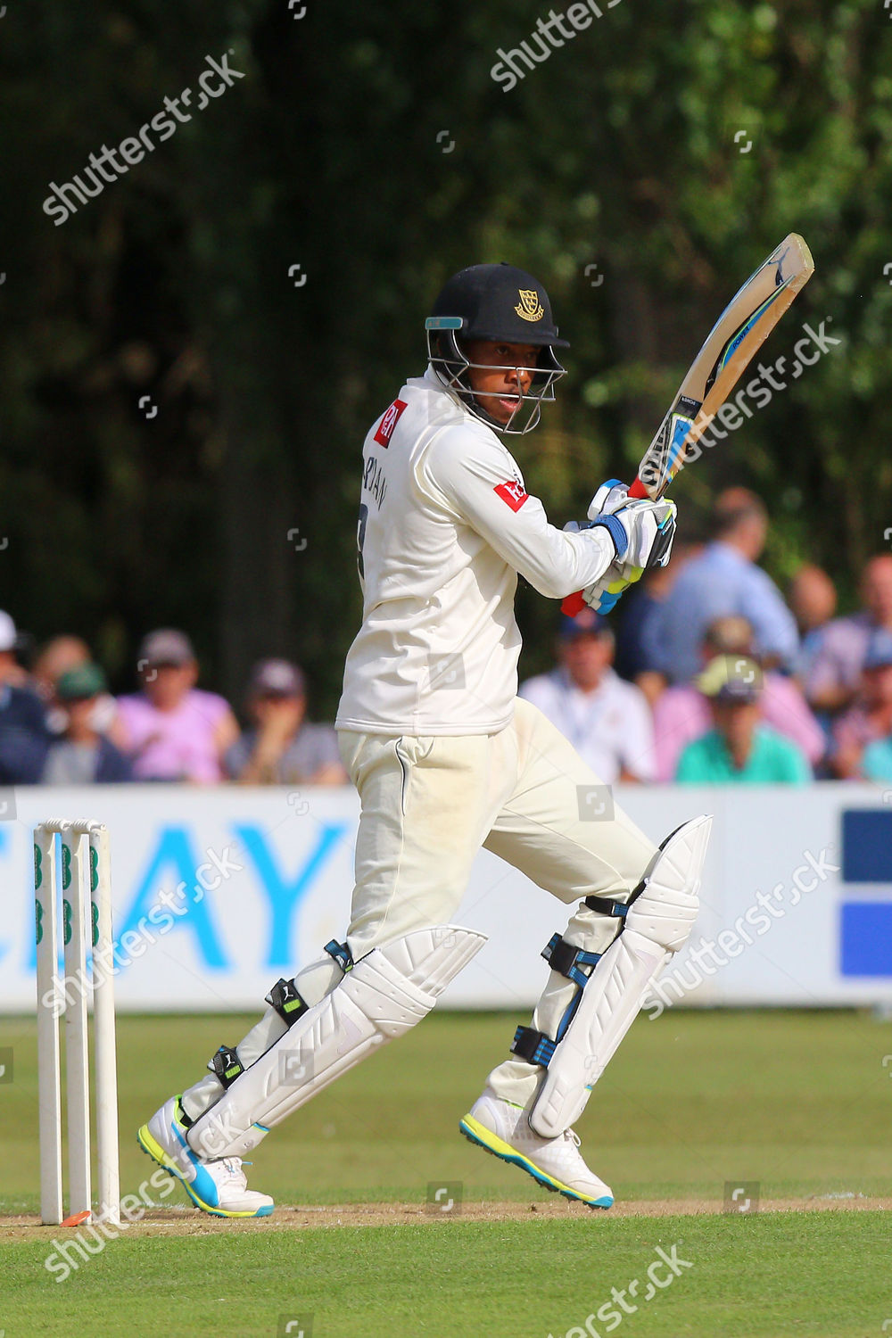 Chris Jordan Batting Action Sussex During Editorial Stock Photo - Stock ...