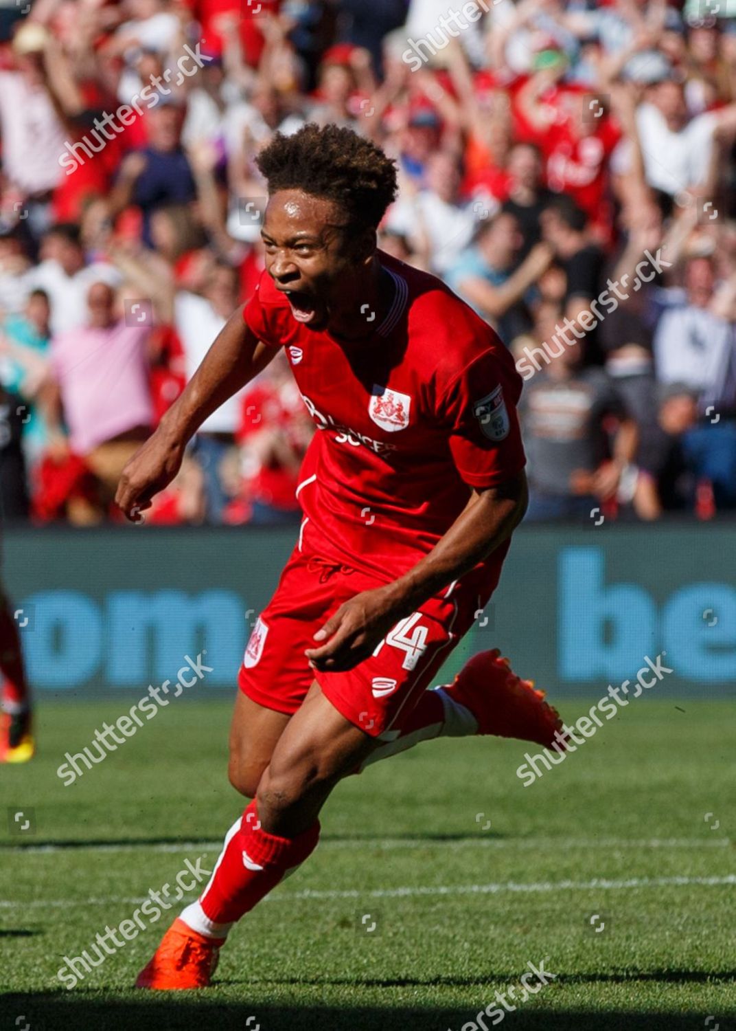 Bobby Reid Bristol City Celebrates Scoring Editorial Stock Photo ...