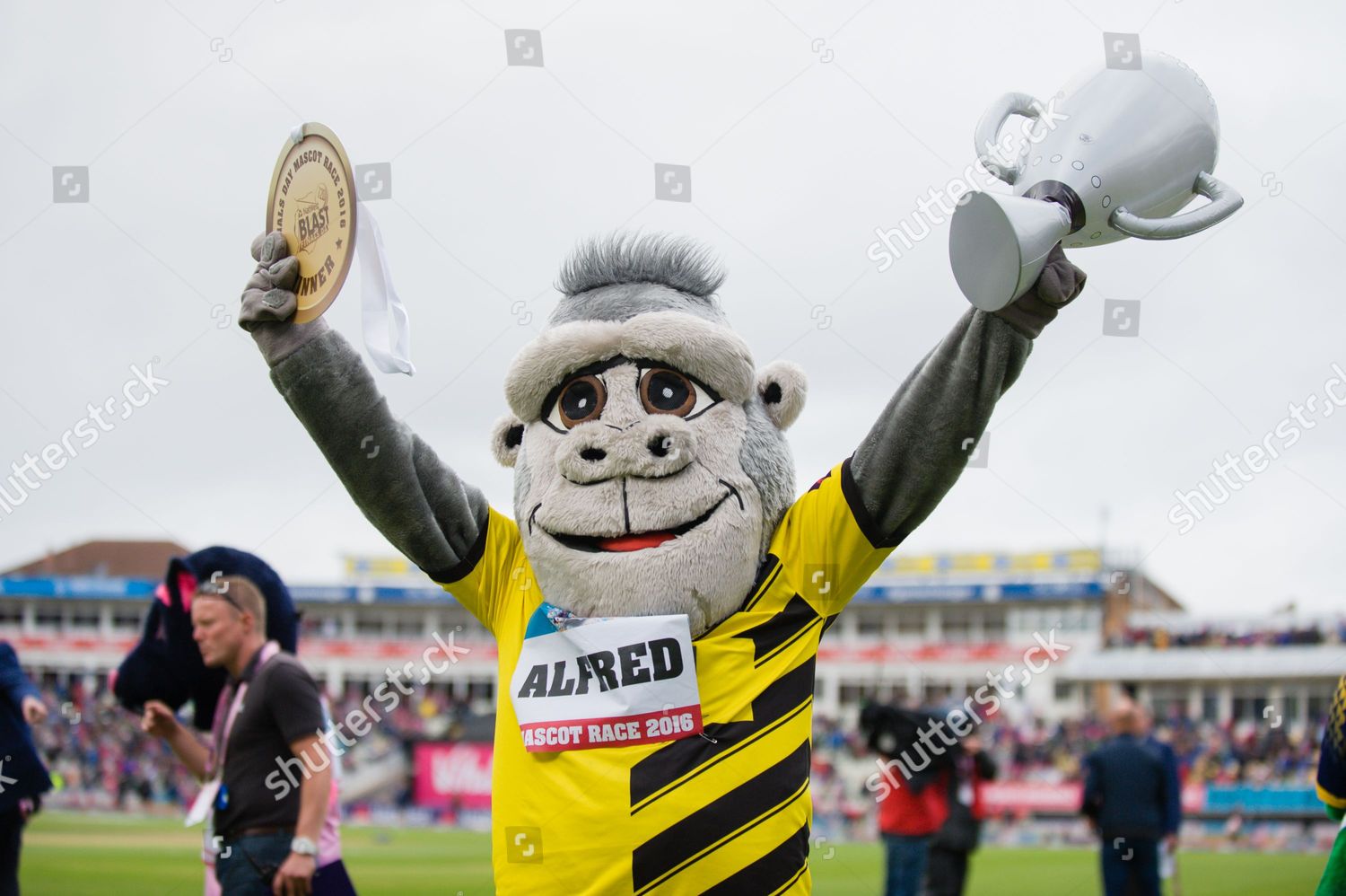 Alfred Gorilla Celebrates Winning Mascot Race Editorial Stock Photo ...