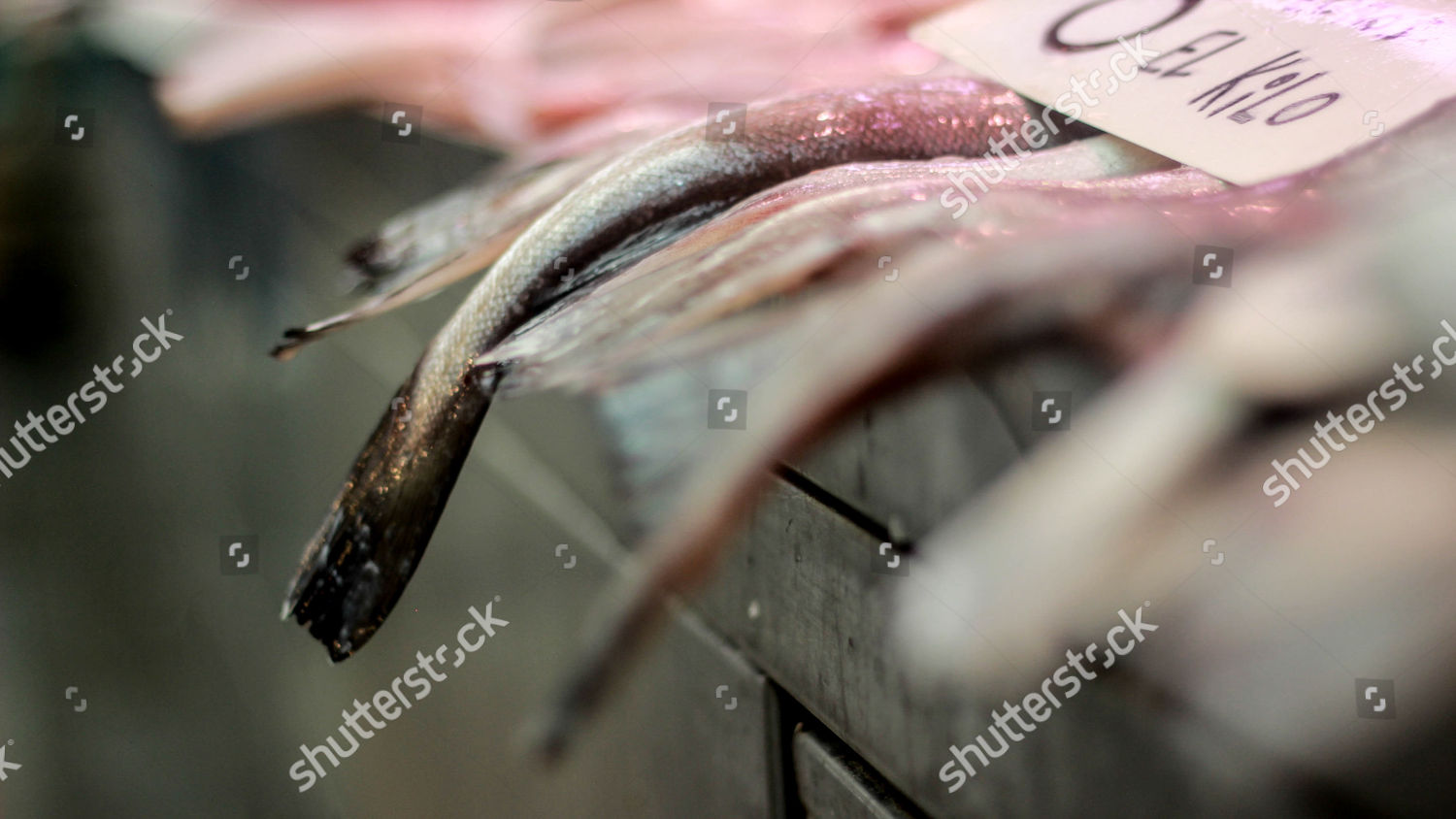 Fish Malaga Central Market Editorial Stock Photo - Stock Image ...