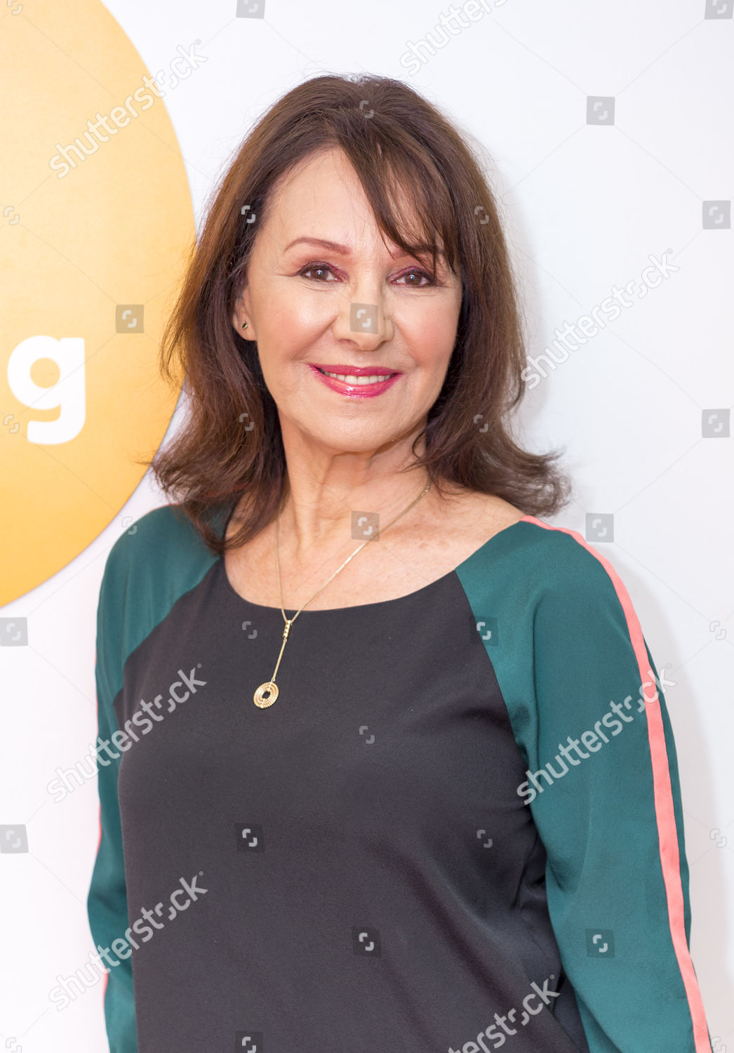 Arlene Phillips Editorial Stock Photo - Stock Image | Shutterstock