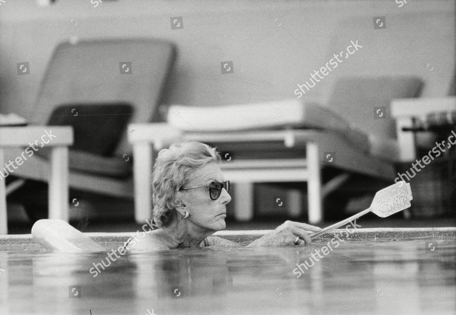 Diana Lady Delamere Formerly Lady Broughton Editorial Stock Photo ...