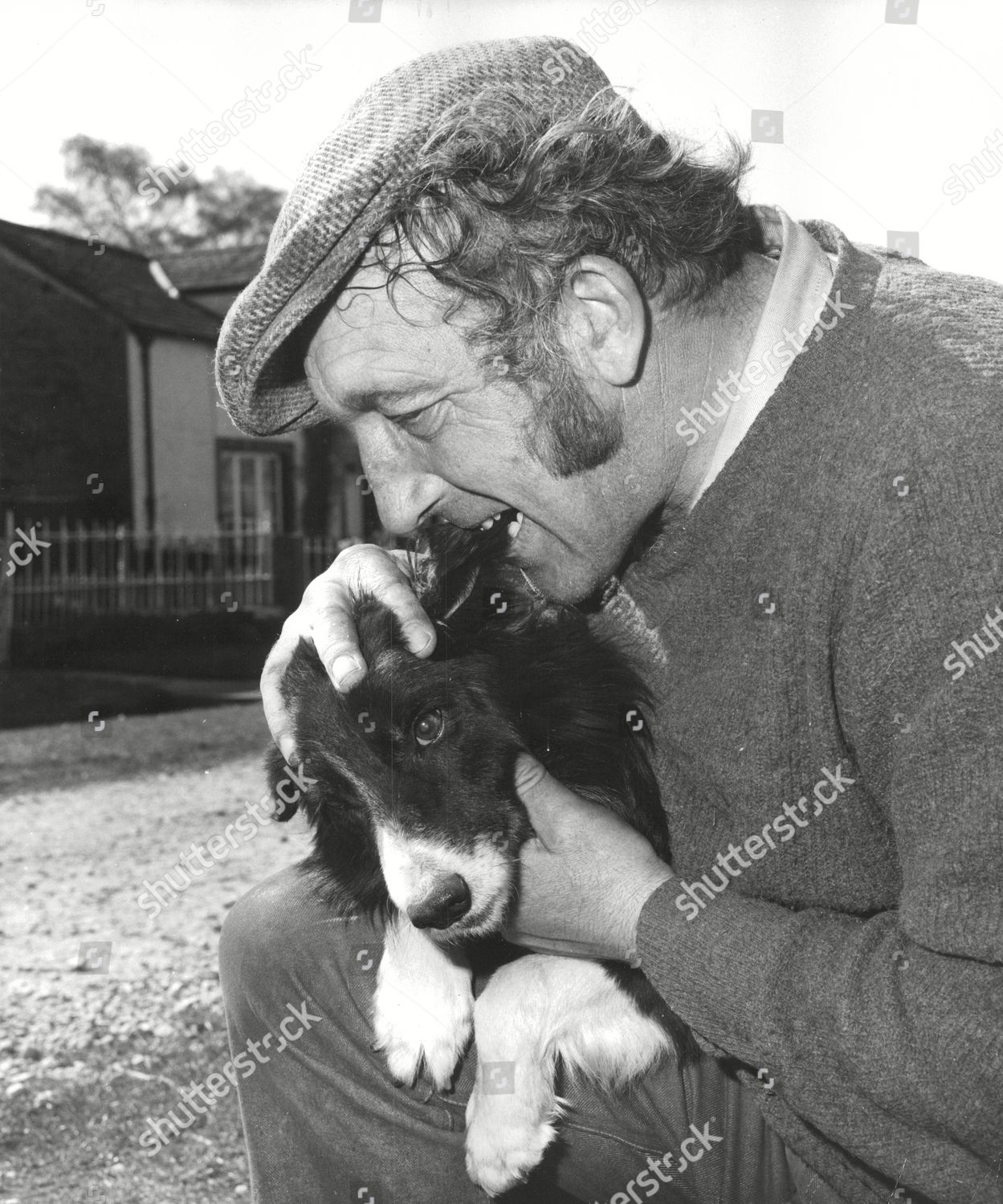 Shepherd Edwin Dargue Who Bites His Editorial Stock Photo - Stock Image ...