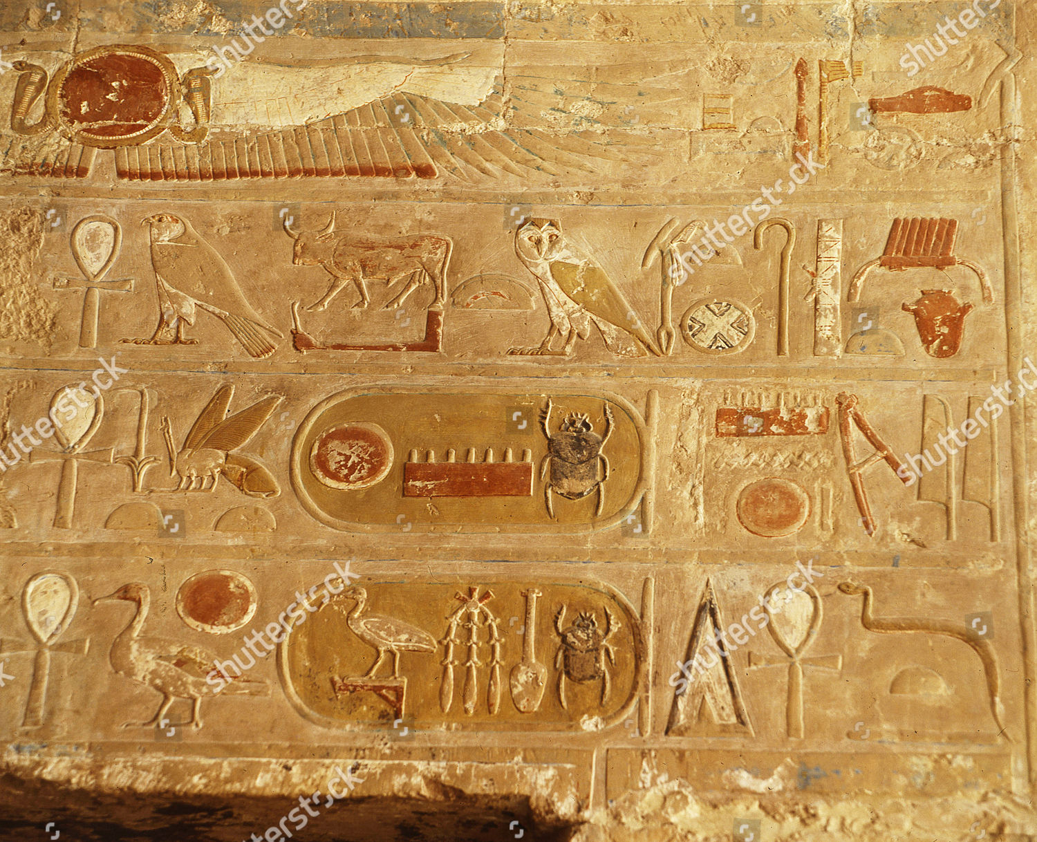 Cartouches Thutmose Iii 147925 18th Dynasty Editorial Stock Photo ...