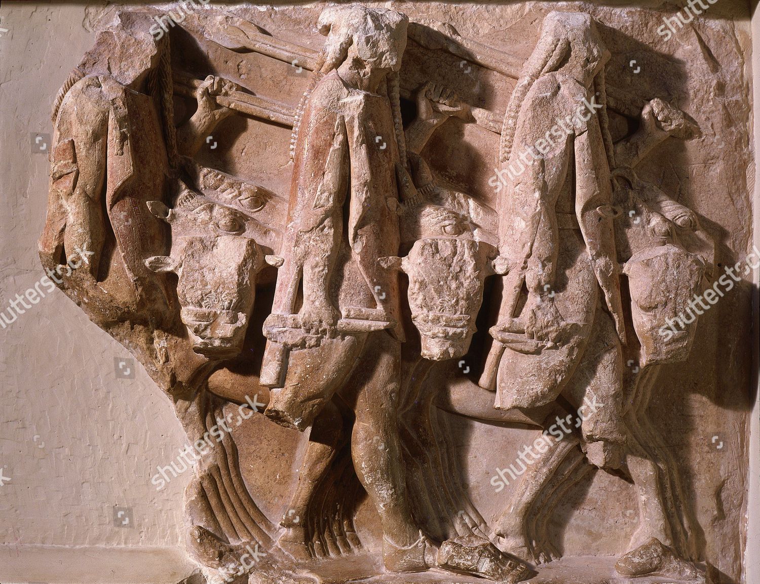 Castor Pollux Rustling Cows Their Cousins Editorial Stock Photo - Stock Image | Shutterstock