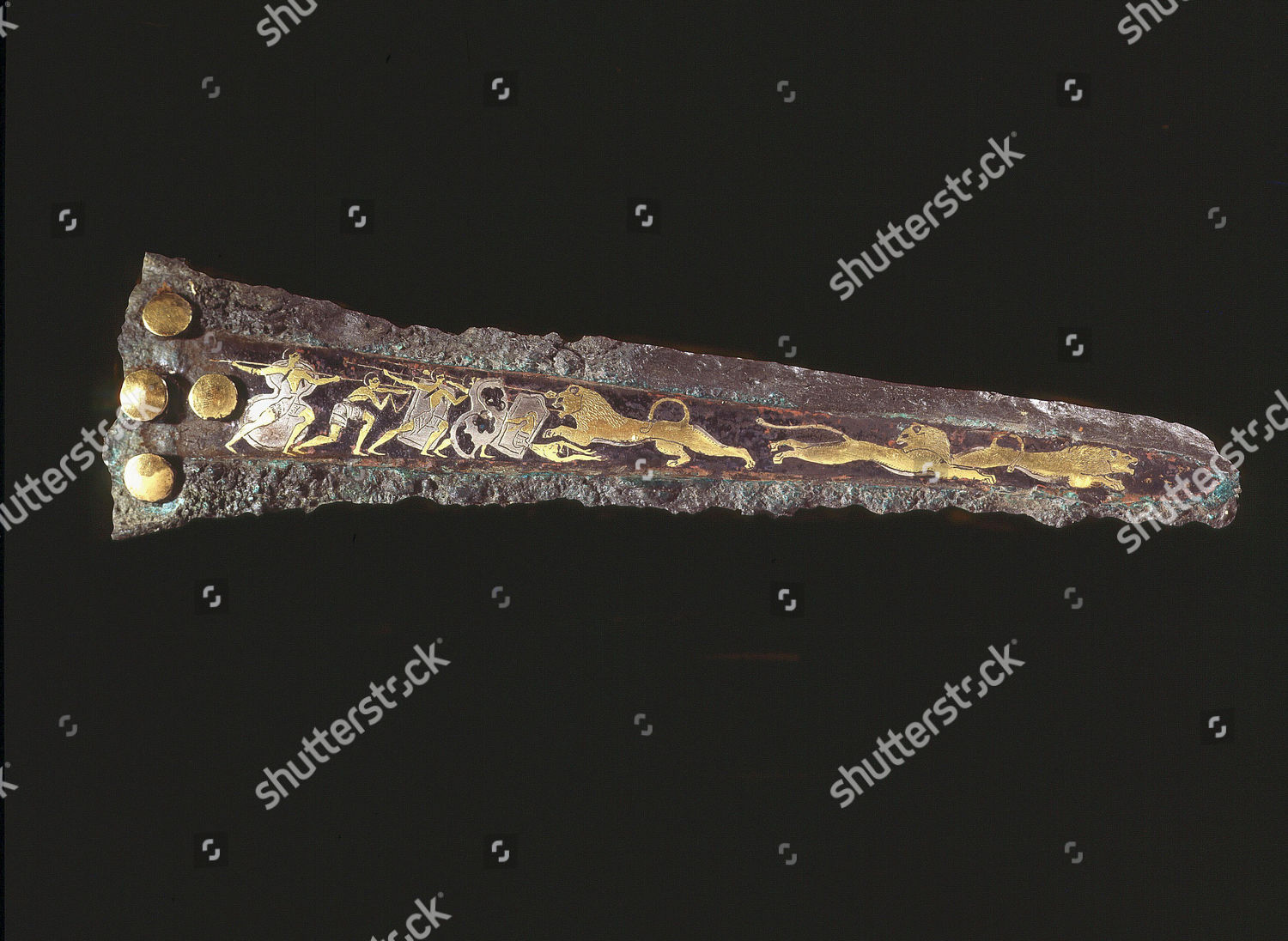 Lion Hunt Dagger Blade Damascened Gold Editorial Stock Photo - Stock ...