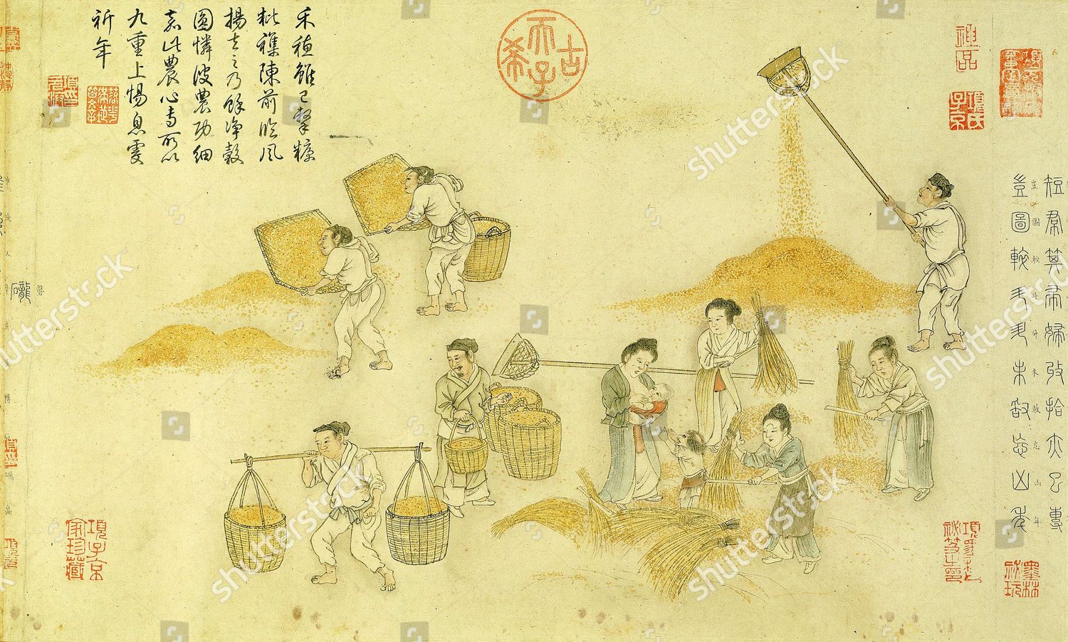 Rice Farming Threshing Winnowing Sorting Attributed Editorial Stock ...