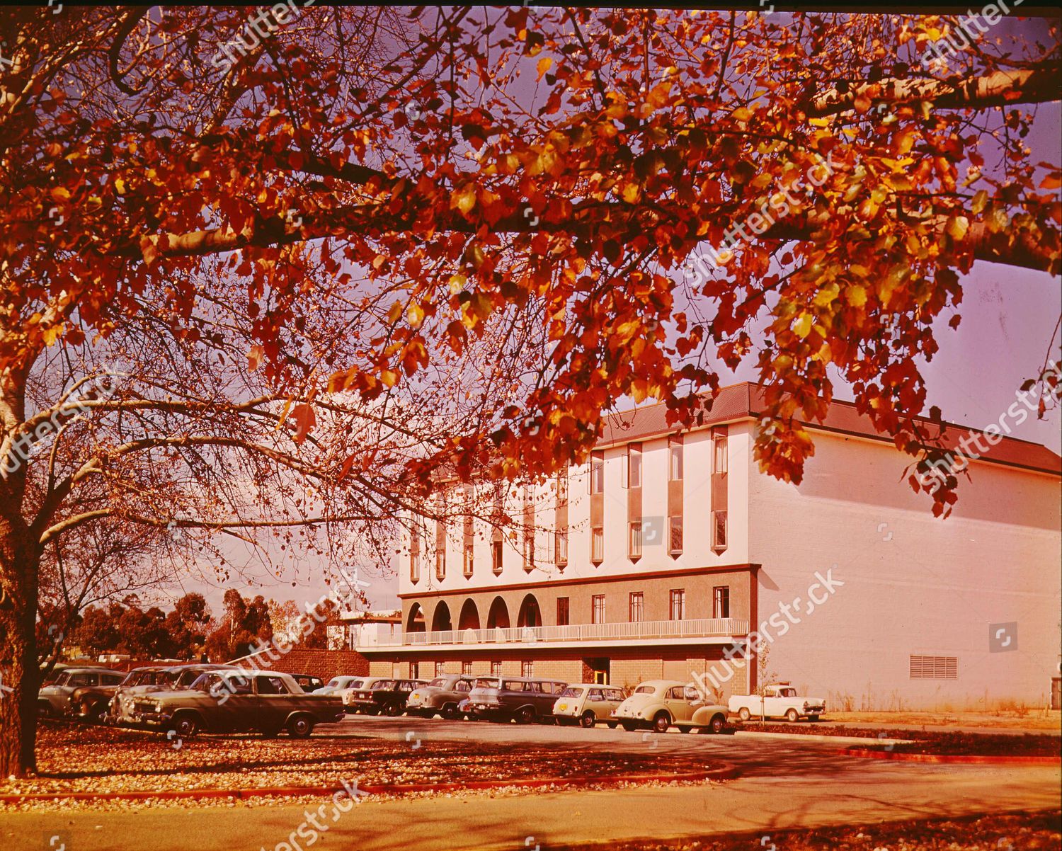 Menzies Library Australian National University Canberra Editorial Stock ...