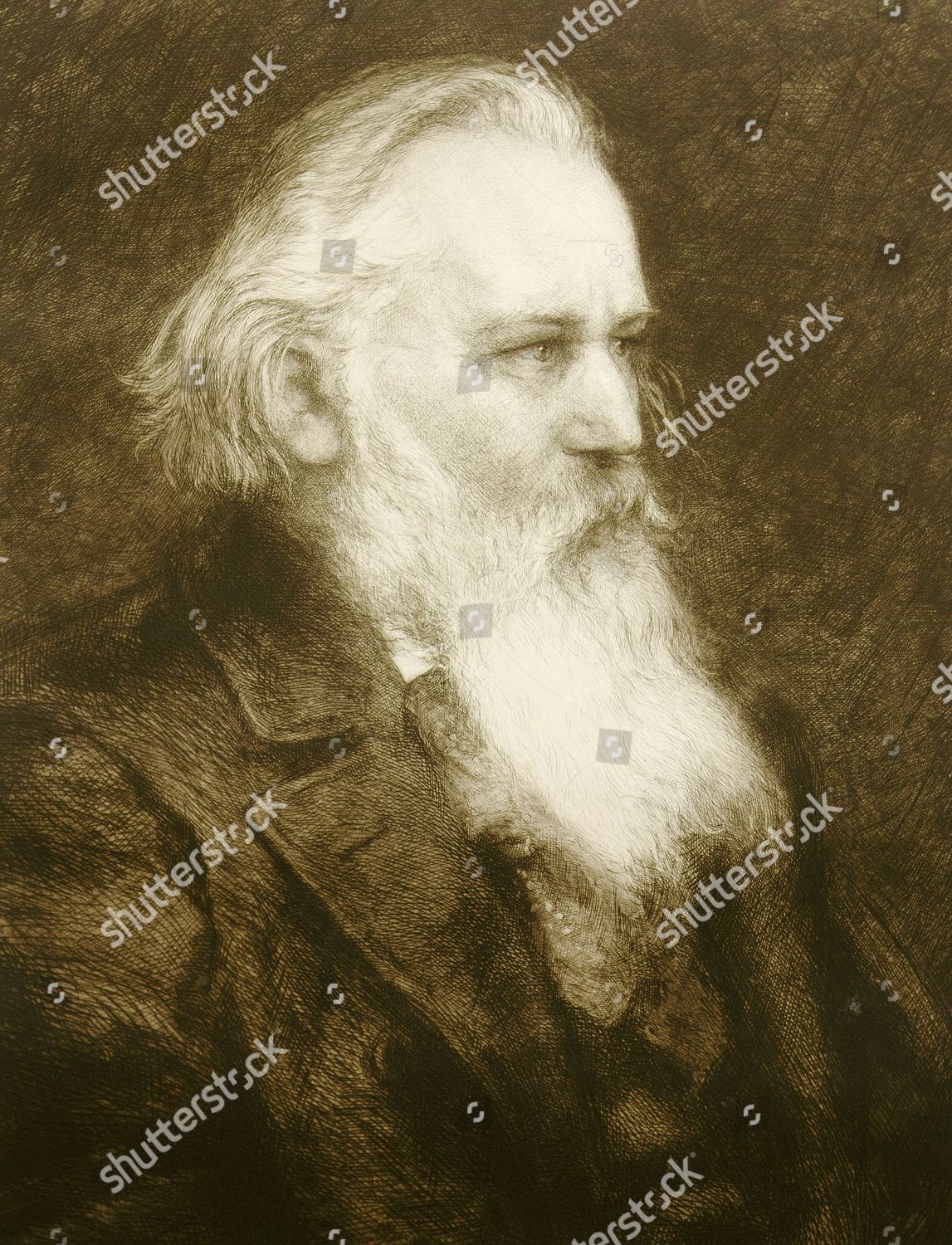 Johannes Brahms 183397 German Composer Old Editorial Stock Photo ...