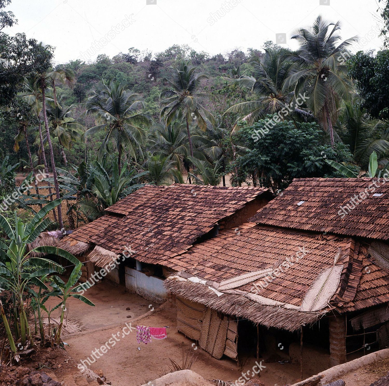 India Primitive Village Houses Goa Editorial Stock Photo - Stock Image ...